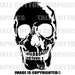 HUMAN SKULL Vinyl Decal #SKL071 - Etsy