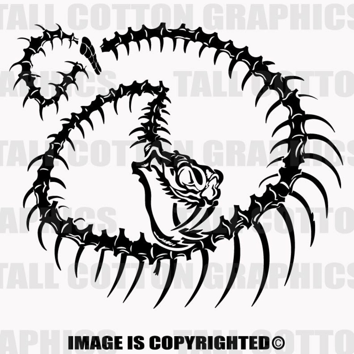 Snake Skeleton Bones Vinyl Window Decal BS059 | Etsy