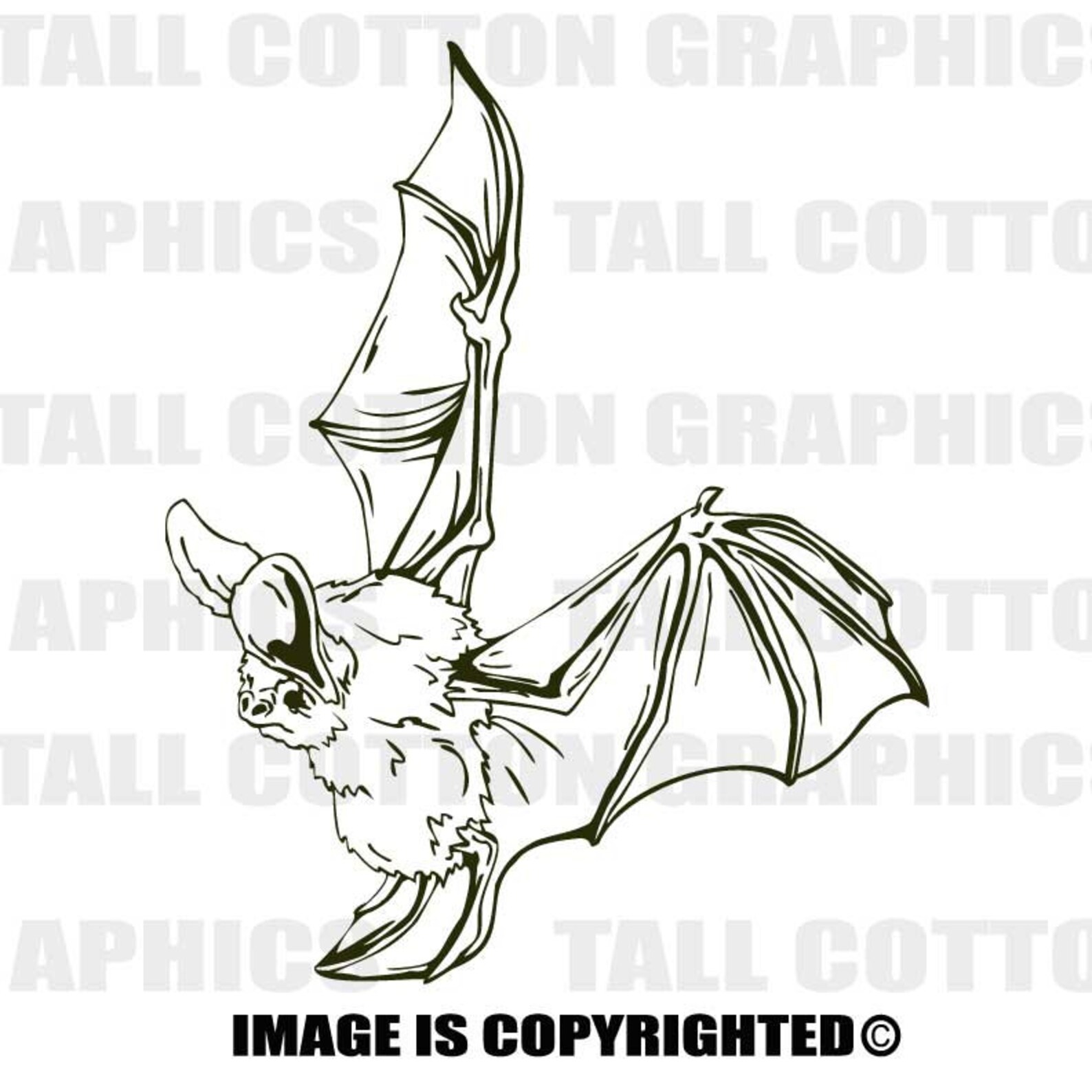 BIG EAR BAT Vinyl Window Decal Sticker Decor #WL119 - Etsy