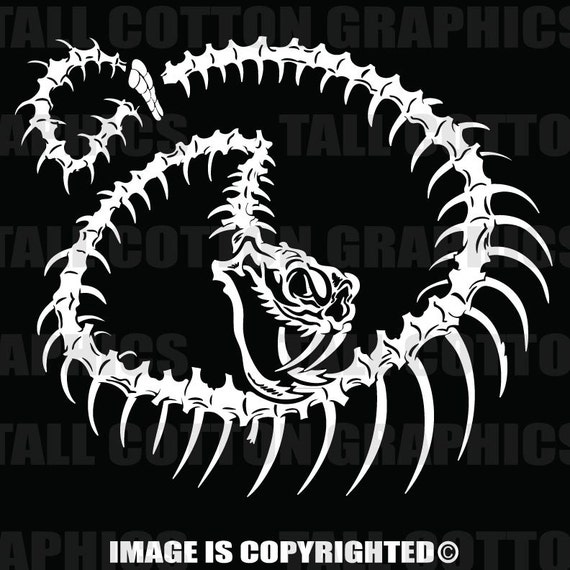 Snake Skeleton Bones Vinyl Window Decal BS059 | Etsy