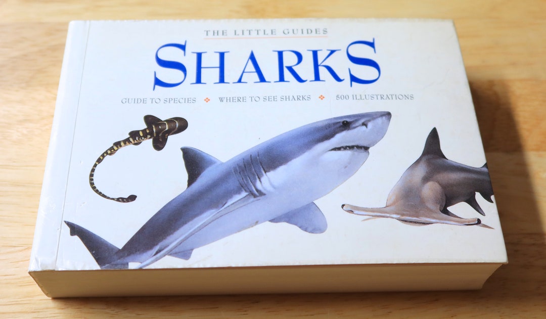 Sharks Little Guides Guides to Species Where to See Sharks Paperback ...