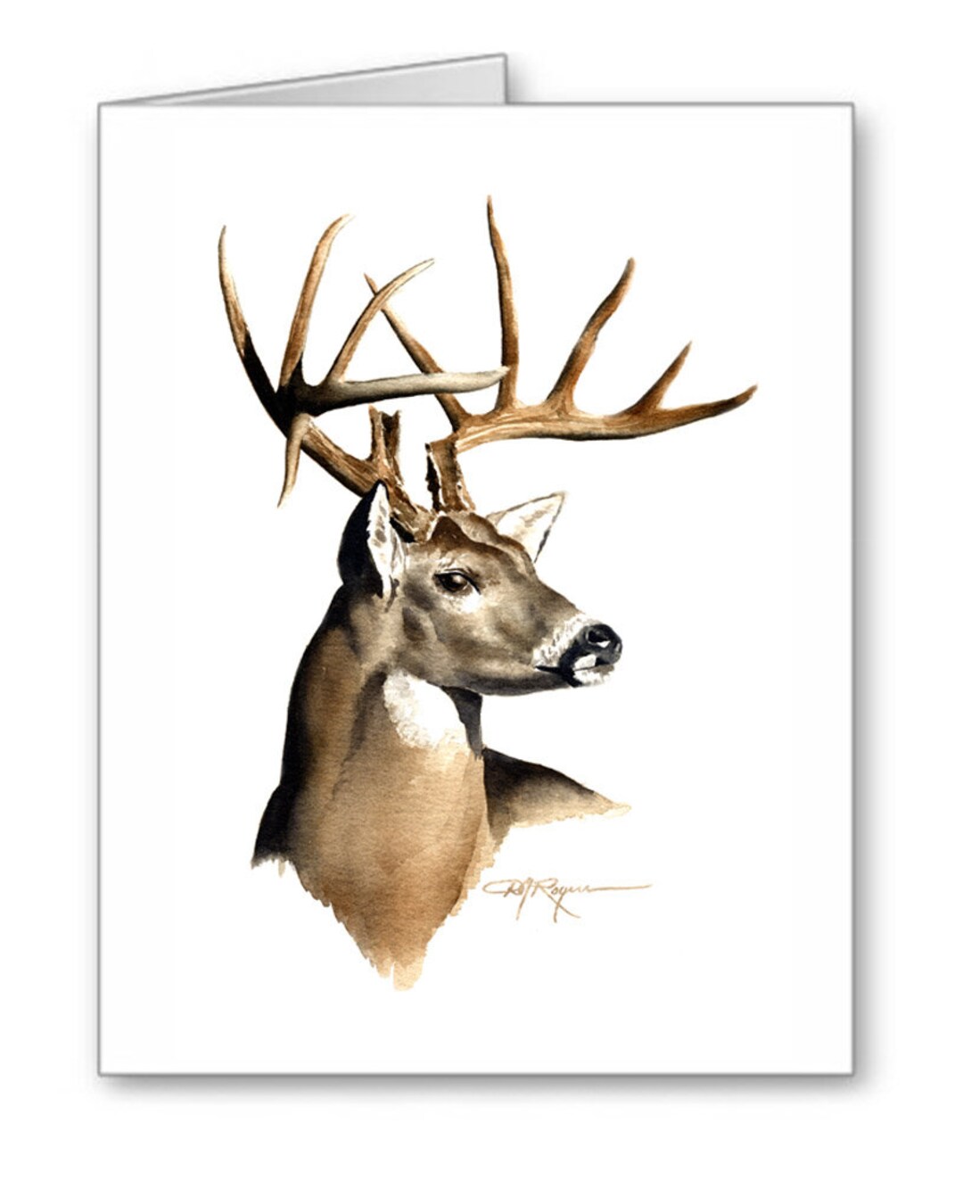 Whitetail Buck Note Cards 10-pk Note Cards Watercolor Painting Animal ...