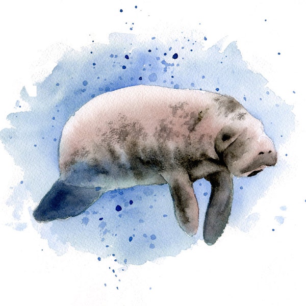 Manatee Watercolor - Etsy