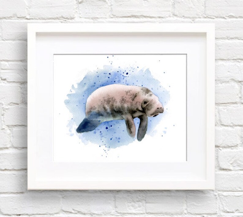 Manatee Art Print Watercolor Painting by Artist DJ Rogers | Etsy