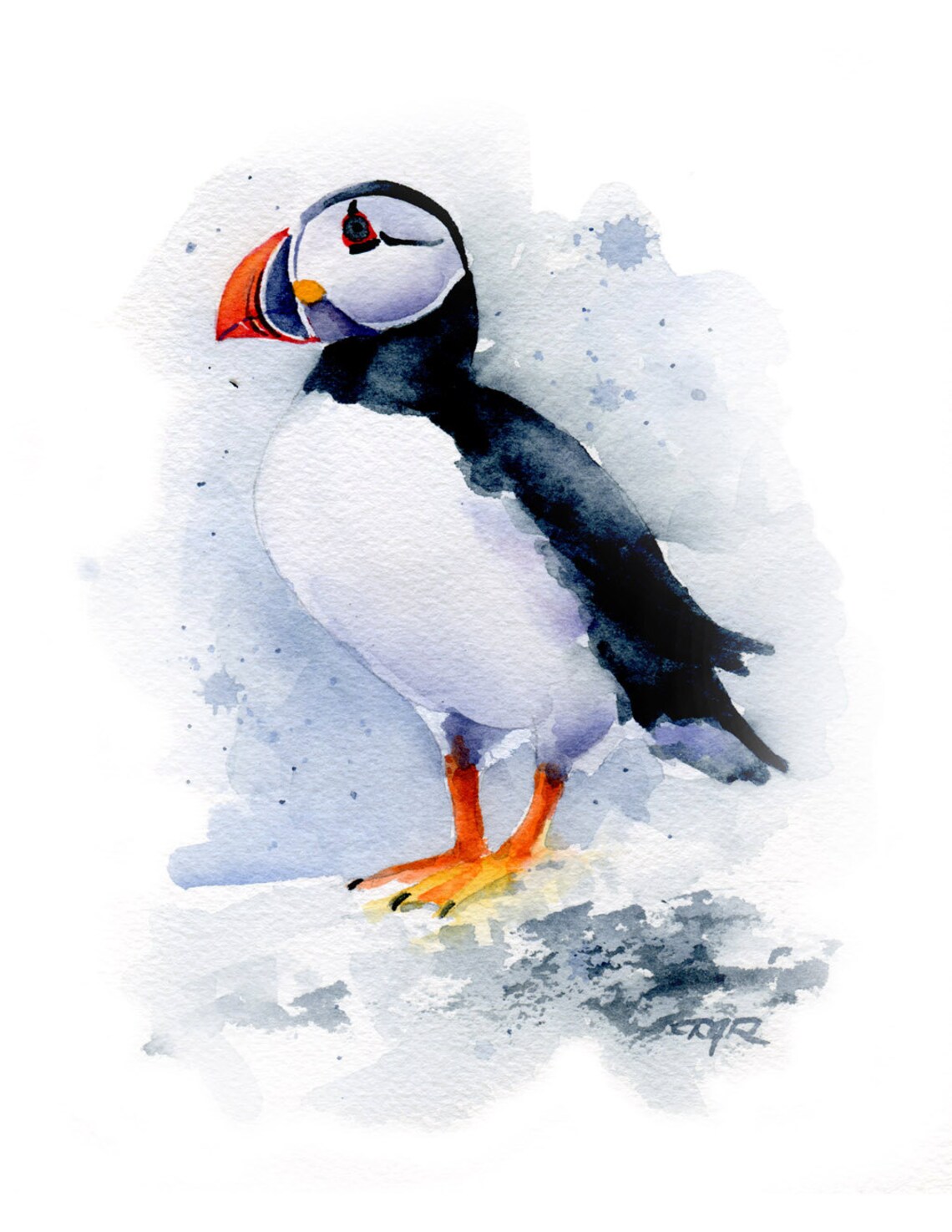 Puffin Art Print Watercolor Painting by Artist DJ Rogers | Etsy