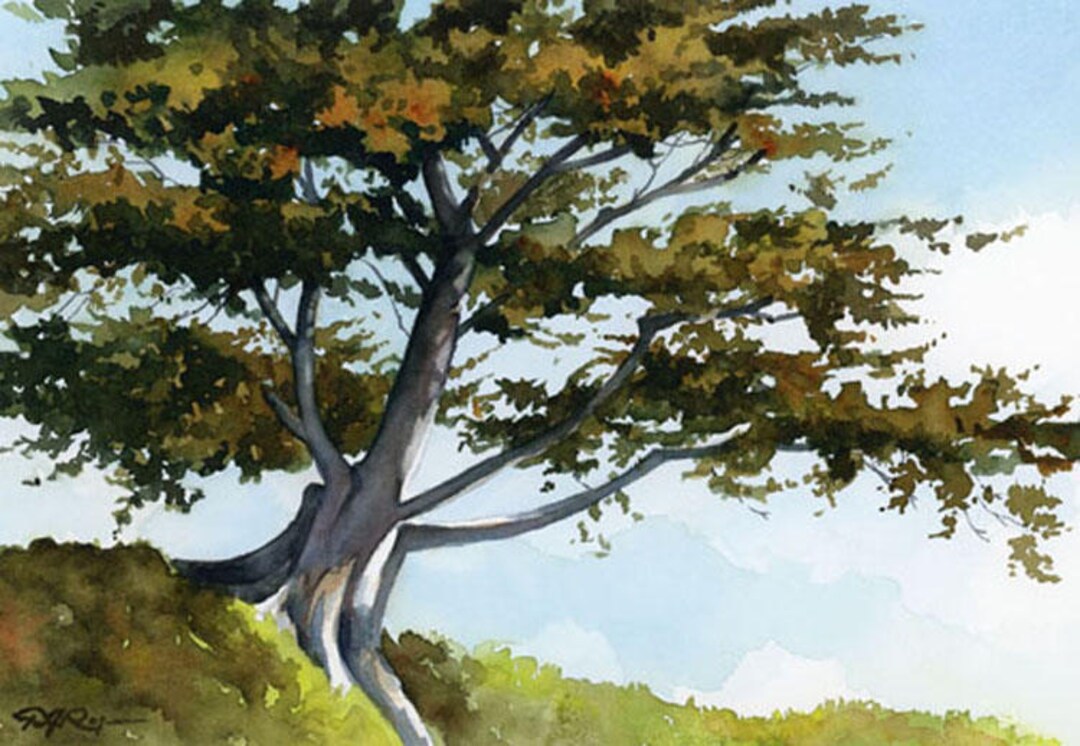 Cypress Tree Art Print Watercolor Painting by Artist DJ Rogers ...