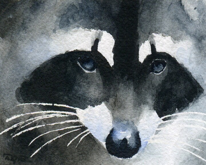 Raccoon Art Print Watercolor Painting by Artist DJ Rogers | Etsy