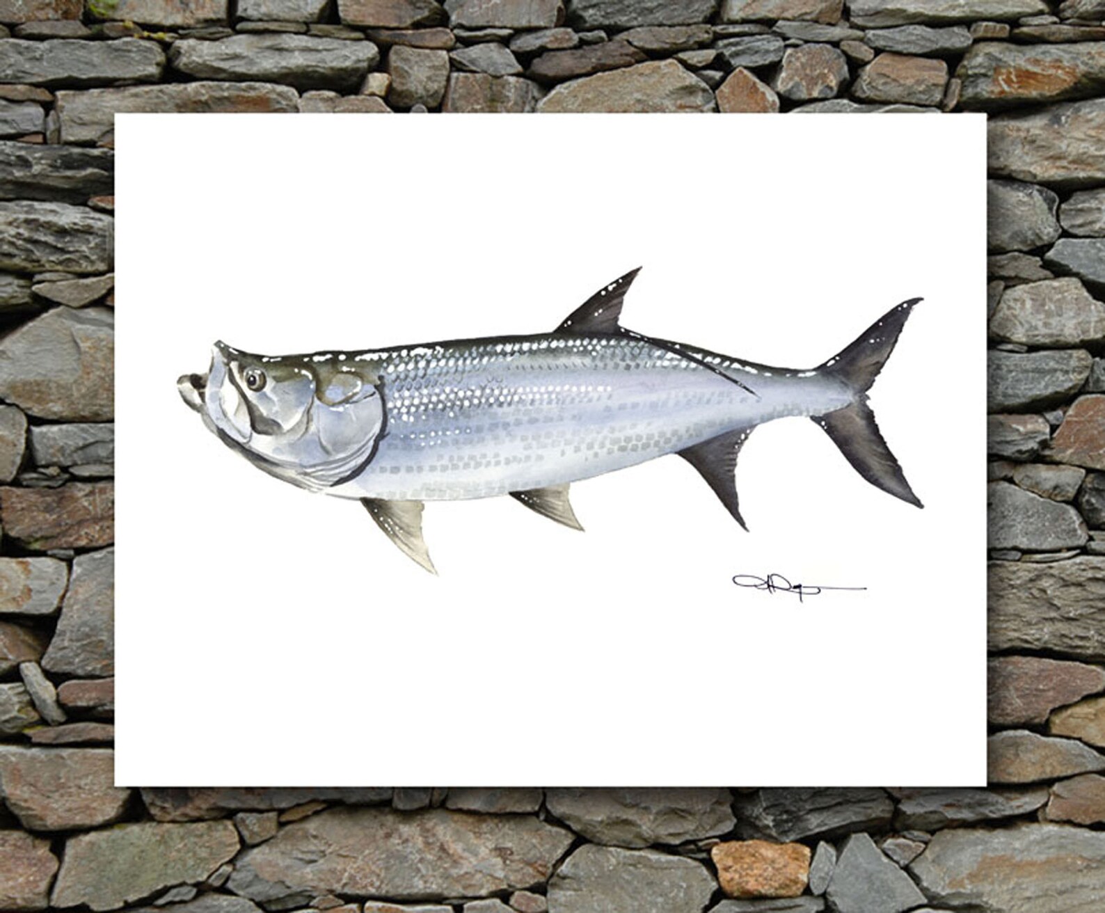 Tarpon Art Print Watercolor Painting Fly Fishing Art by - Etsy