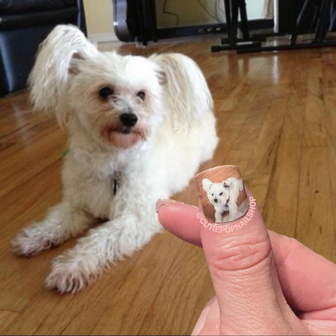 Custom Art Press-on Nails|design Your Own Nails| Send Us Your Picture ...