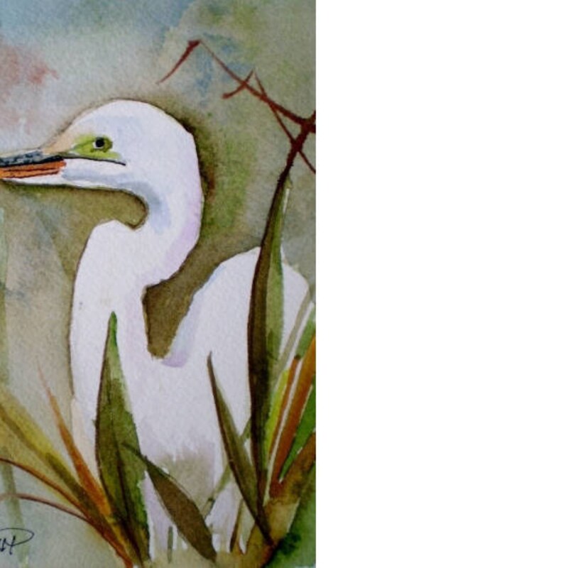 Florida Bird Art - Etsy