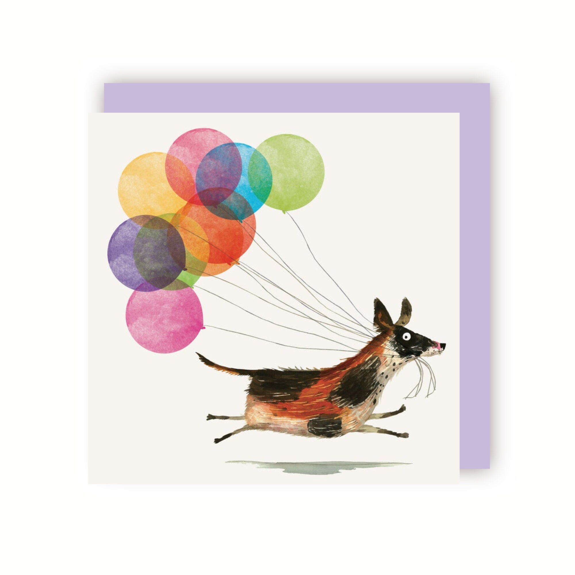 Cards — Charley Rabbit : Illustration & Design