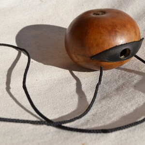 MATOFONO Music Instruments Made Out of a Pumpkin Instrument for Singing ...