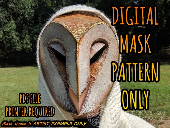 Barn Owl Makeup