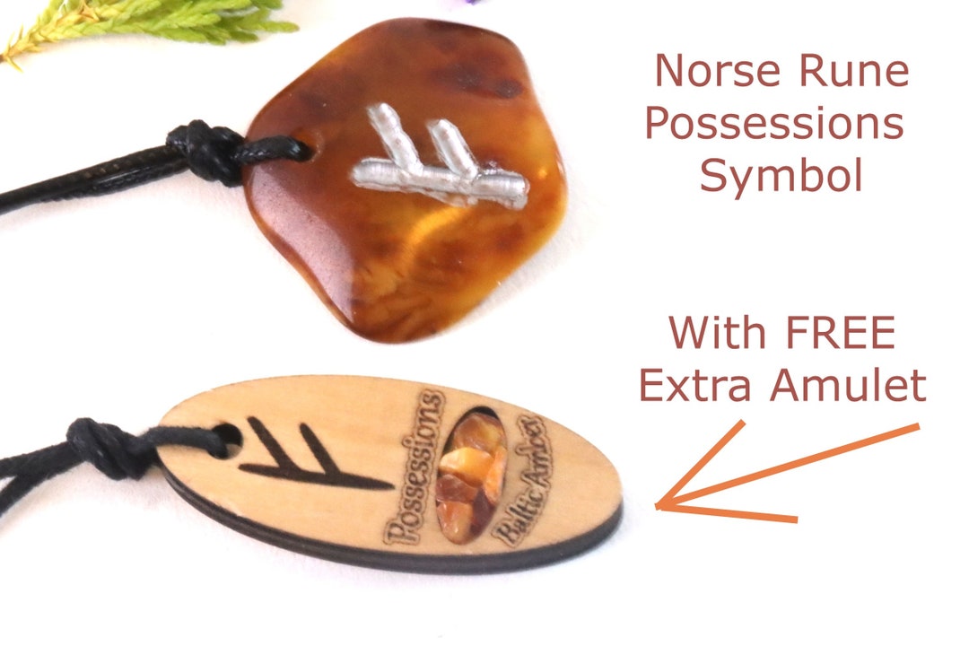 Norse Rune Possessions Symbol With FREE Extra Amulet / Baltic Amber ...
