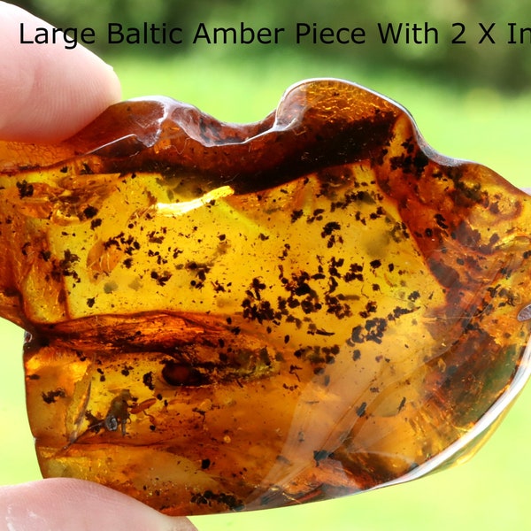 Amber With Inclusion - Etsy