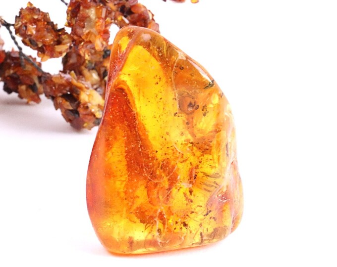 40 Million Year Old Amber Tumbled Stone / Baltic Amber / Collector's ...