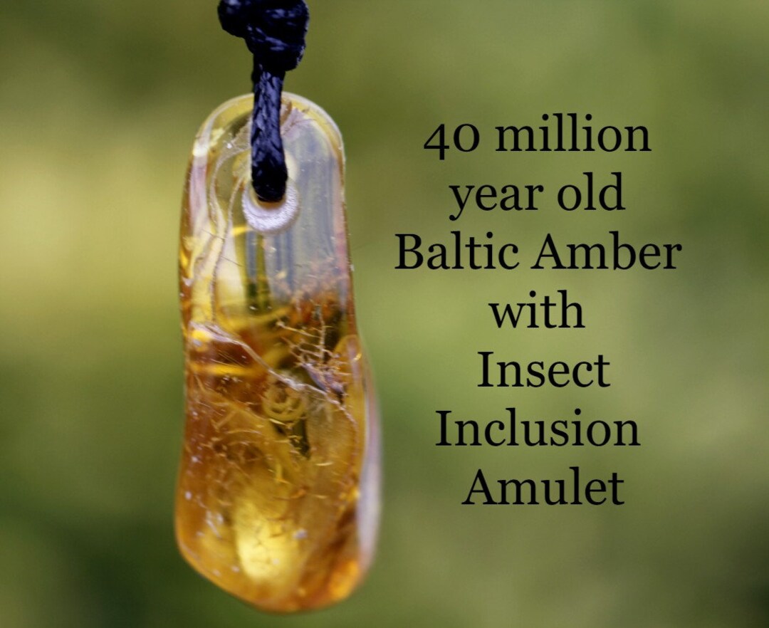 40 Million Year Old Baltic Amber With Small Insect Inclusion Amulet ...