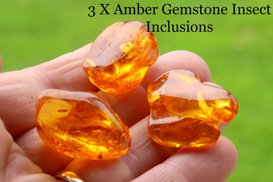 3 X Amber Gemstone Insect Inclusions / 40 Million Year Old Bugs in ...