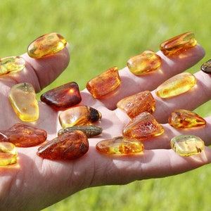 Sale 21 Pieces Polished Amber Gemstones / Natural Baltic Amber Tumbled ...