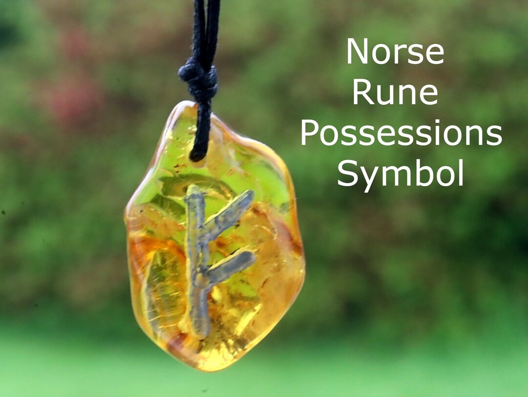 Norse Rune Possessions Symbol / Baltic Amber Rune Carving / - Etsy