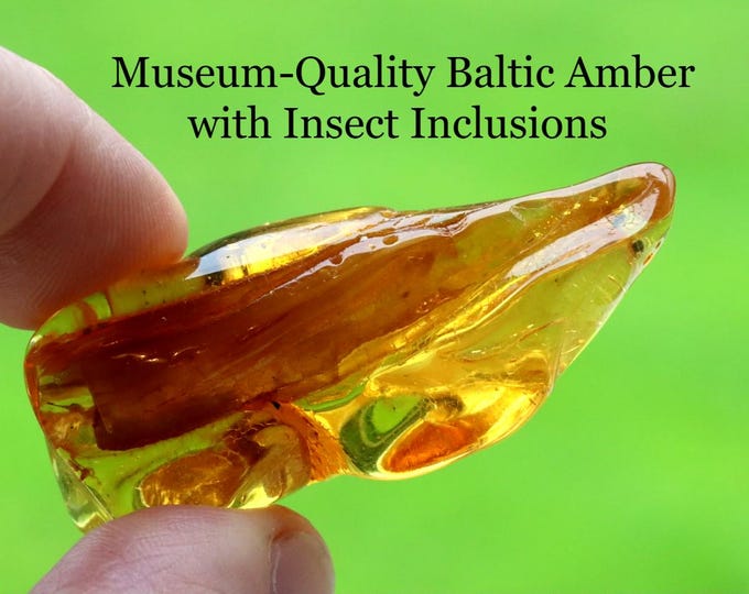 Museum-quality Baltic Amber With Insect Inclusions – A Genuine 40 ...