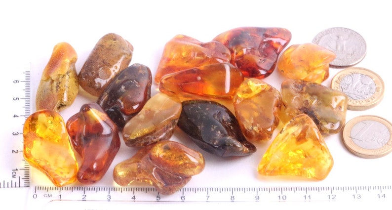 Authentic Baltic Amber Tumbled Stone – 1 Piece (4–5g) Polished Amber ...