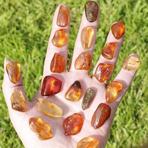 Sale 21 Pieces Polished Amber Gemstones / Natural Baltic Amber Tumbled ...