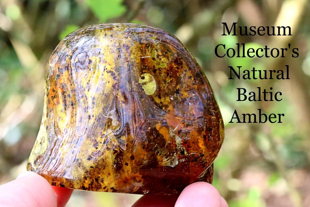 Fascinating Large 118.99g Amber Stone / Collector's Gem / Natural ...