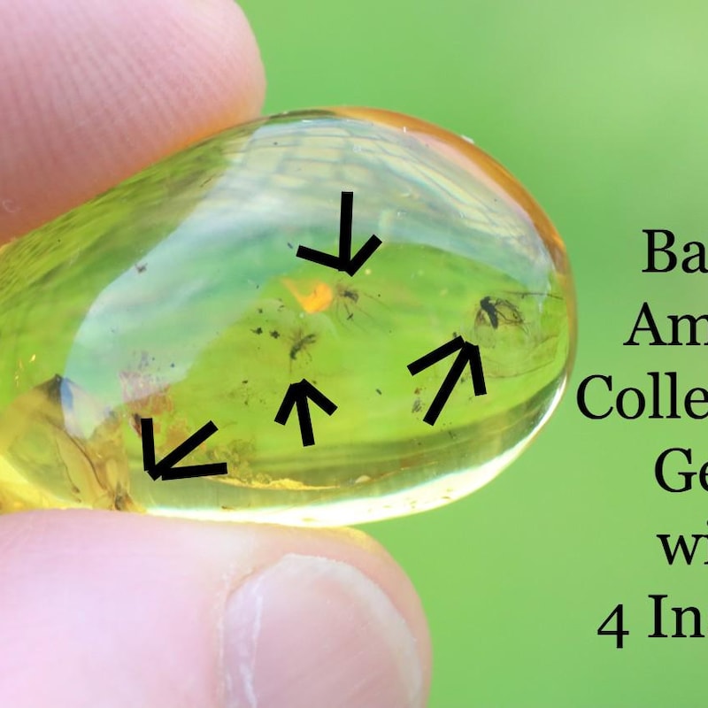 Inside Amber - Etsy UK