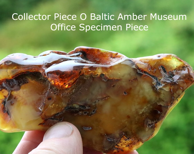 48g Natural 40 Million Year Old Baltic Amber / Collector Piece ...