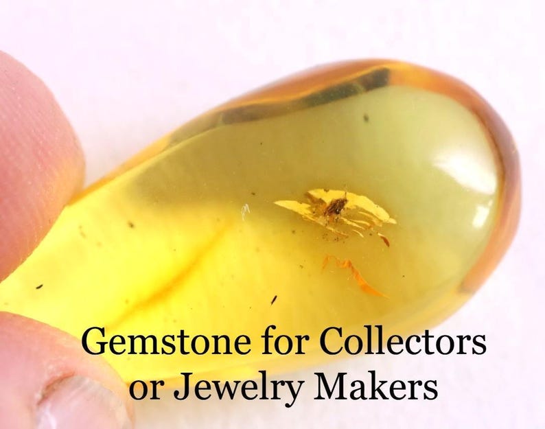 Insect Inclusion in Baltic Amber / Rare Fossil Insect in Amber - Etsy