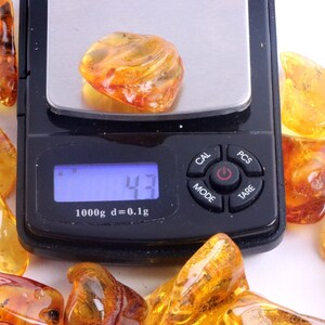 Authentic Baltic Amber Tumbled Stone – 1 Piece (4–5g) Polished Amber ...