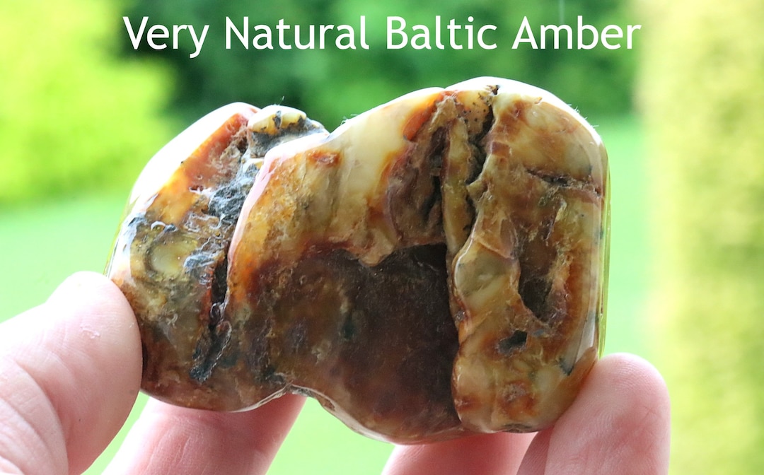 Unbelievable Large Very Natural 100g Baltic Amber Collector's Gem ...