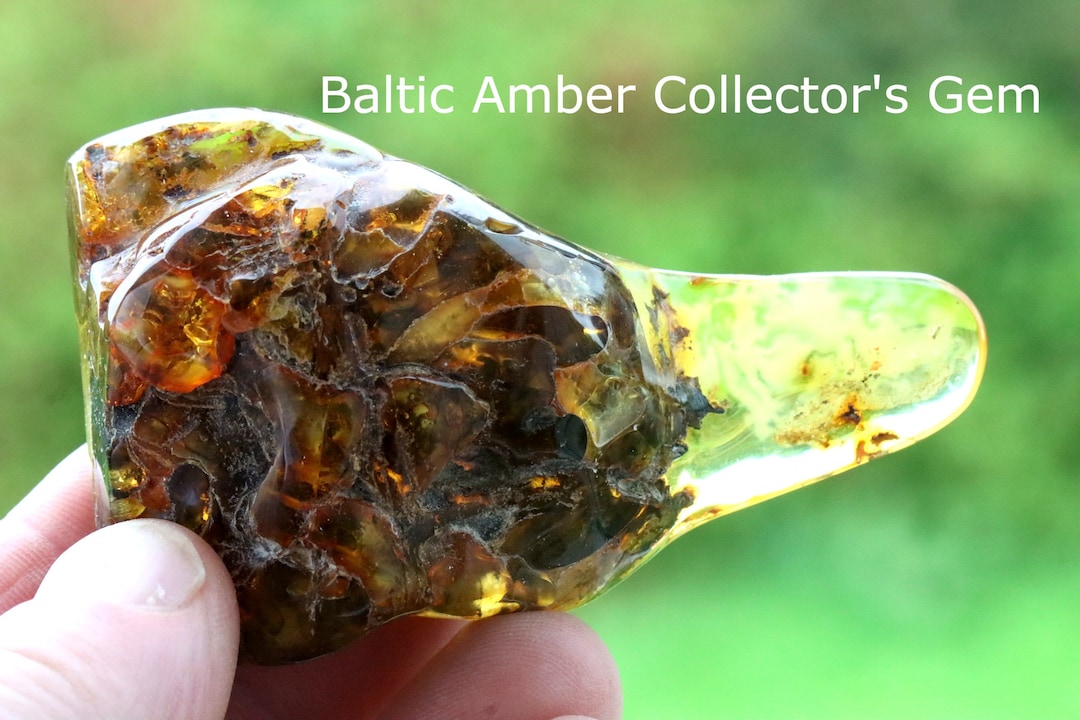 Baltic Amber Tumbled Stone / Real Amber Specimen for Collection ...