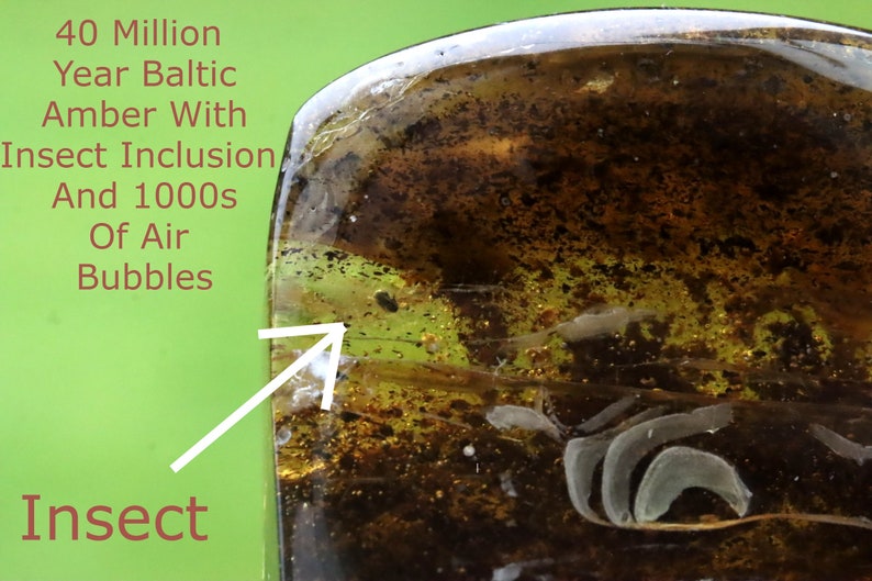 Large Baltic Amber With Insect Inclusion & Air Bubbles | 40 Million ...