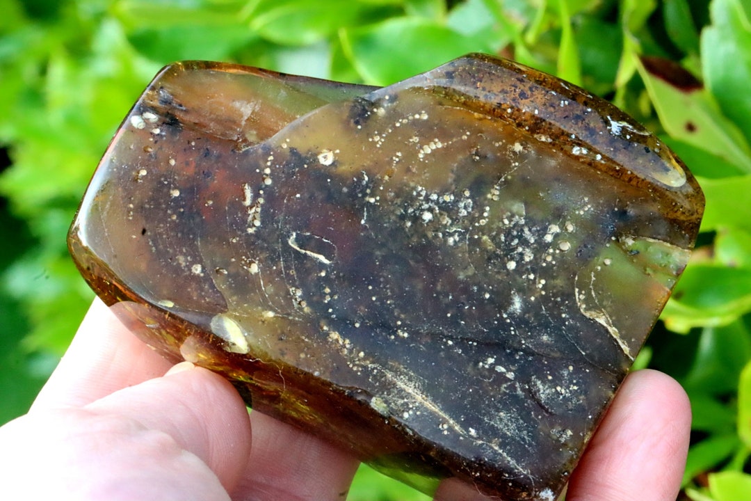 Large Baltic Amber With Insect Inclusion & Air Bubbles | 40 Million ...