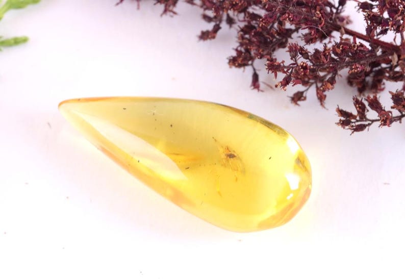 Insect Inclusion in Baltic Amber / Rare Fossil Insect in Amber - Etsy