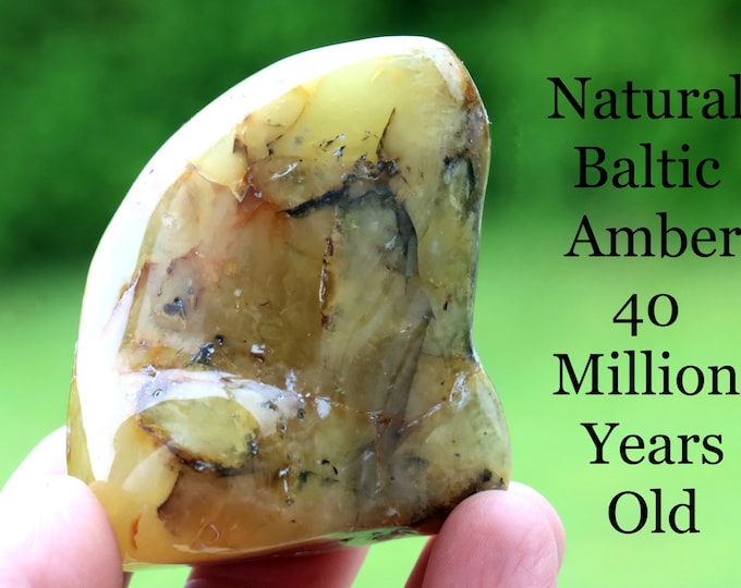 Large Collectors Rare Specimen Natural Baltic Amber / Tree Resin Fossil ...