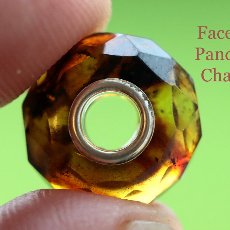 BalticAmberSOS - Etsy