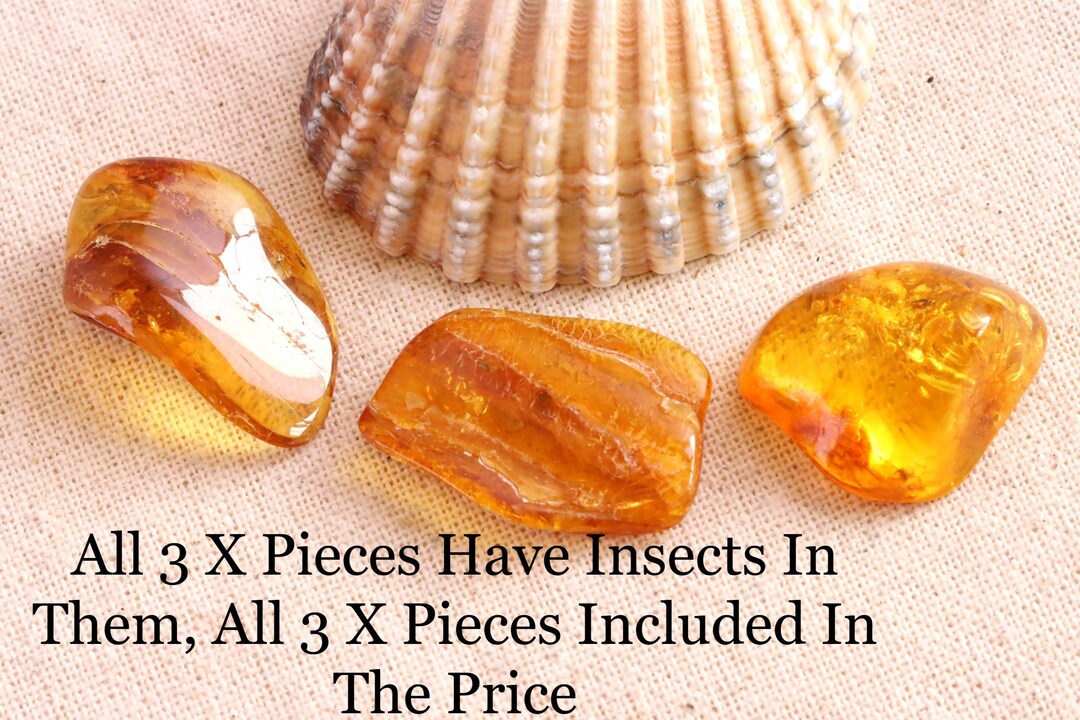 3 X Gemstones Included in the Offer Baltic Amber Insect Inclusions / 40 ...