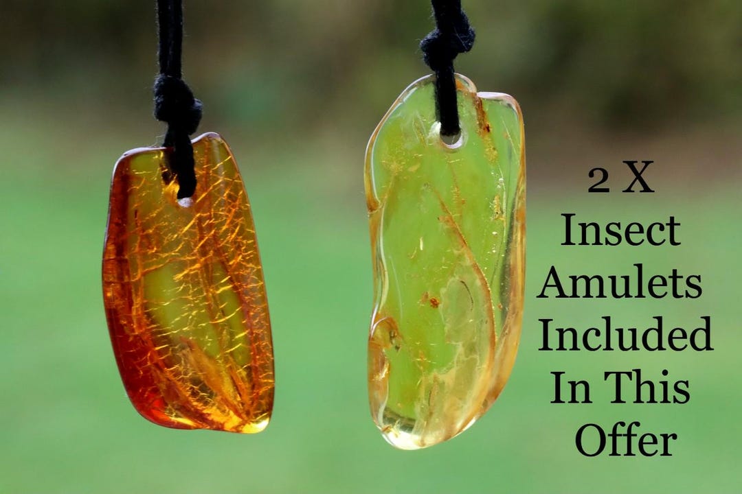 2 X Amber Insect Inclusion Amulet Pendants Included in This Offer ...