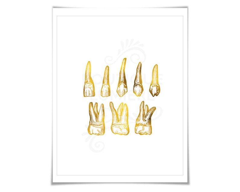 Human Teeth Gold Foil Print - Dental Office Wall Art - Anatomy Wall Art ...