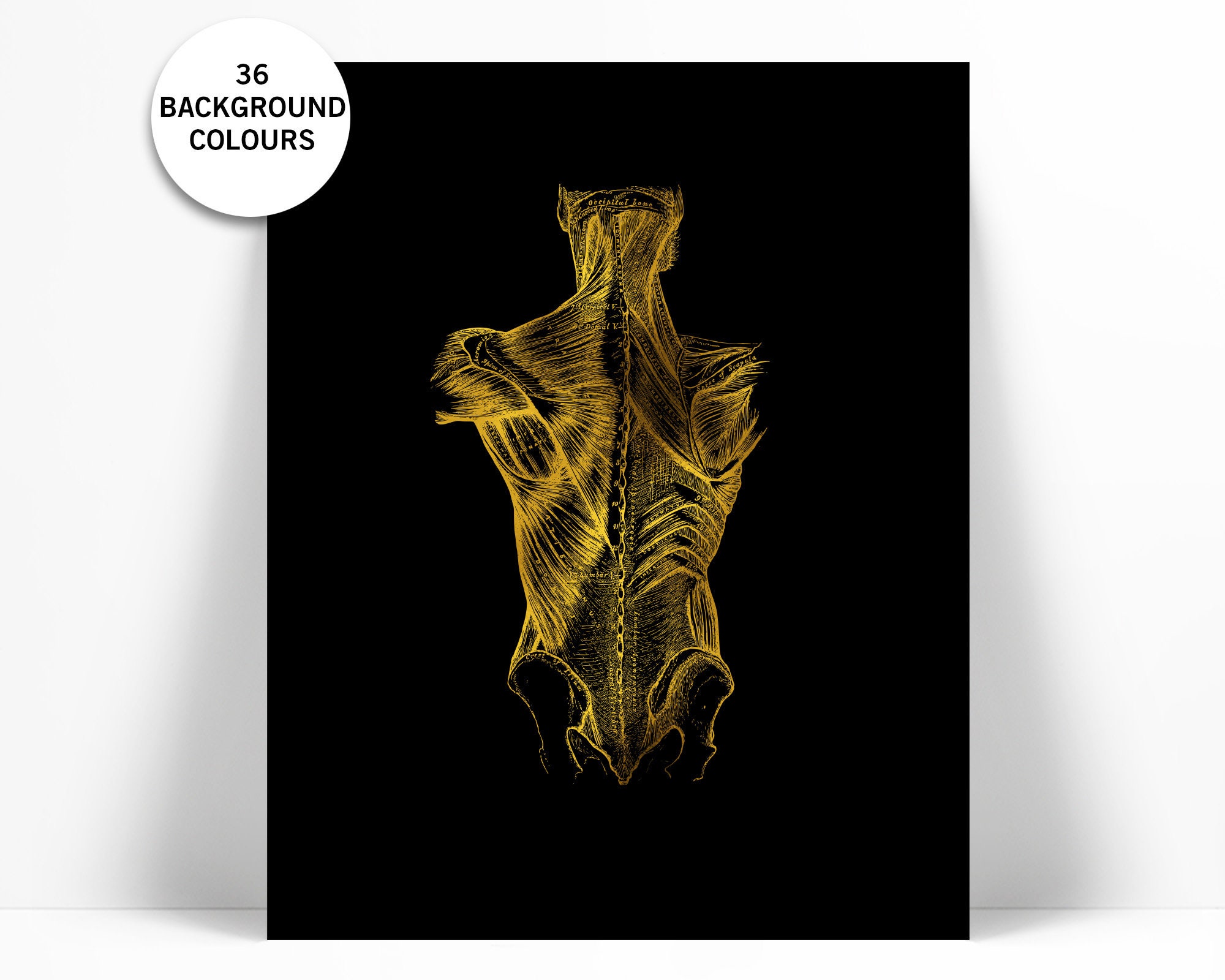 Human Body Anatomical Gold Foil Art Print Anatomy Wall Art - Etsy Canada