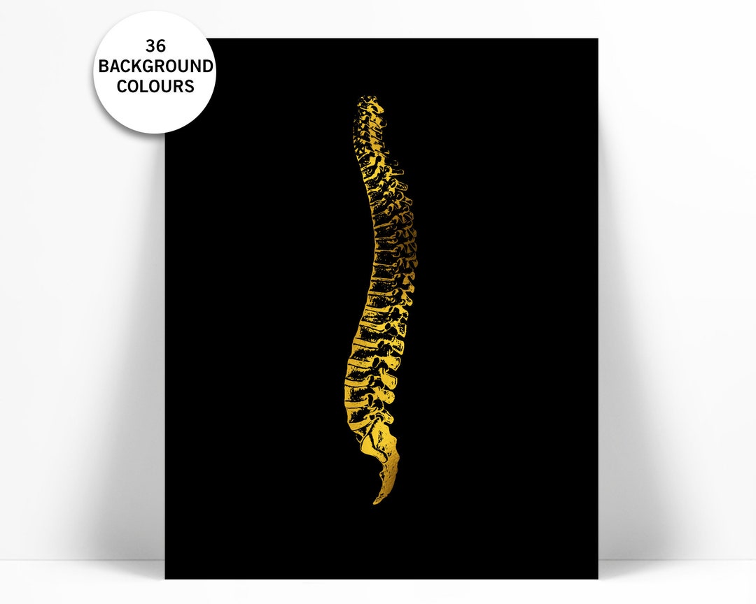Human Spine Anatomical Gold Foil Art Print - Anatomy Wall Art ...