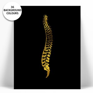 Human Spine Anatomical Gold Foil Art Print Anatomy Wall Art Anatomical ...