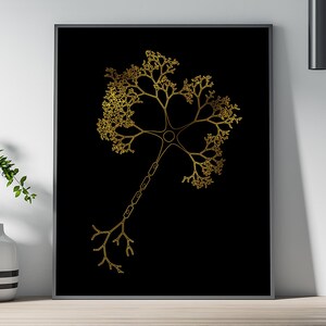 Neurons Gold Foil Art Print - Anatomy Wall Art - Anatomical Nerve Cells ...