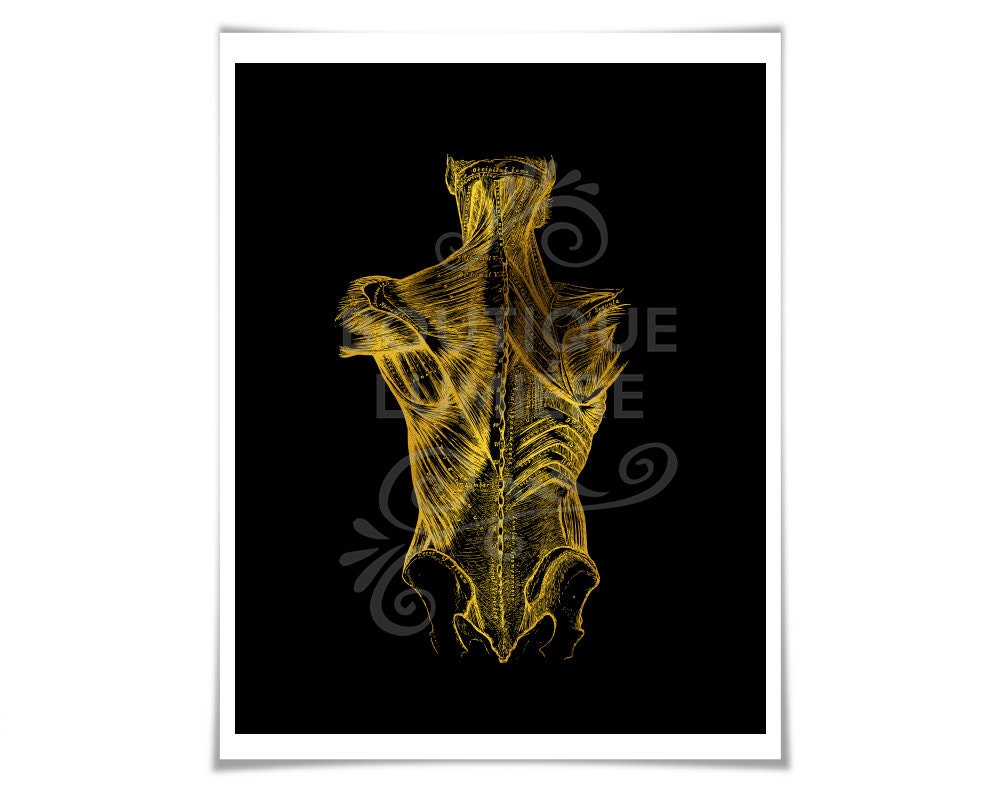 Human Body Anatomical Gold Foil Art Print Anatomy Wall Art | Etsy Canada