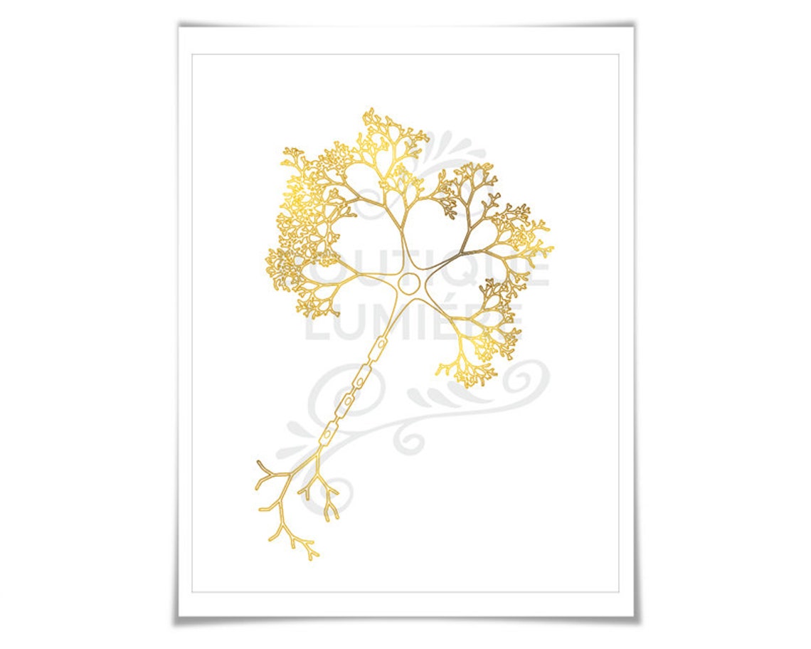 Neurons Gold Foil Art Print - Anatomy Wall Art - Anatomical Nerve Cells ...
