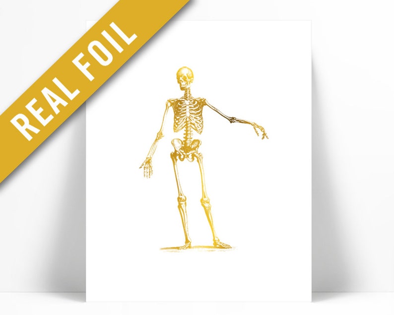 Human Skeleton Anatomical Gold Foil Art Print Real Gold Foil | Etsy