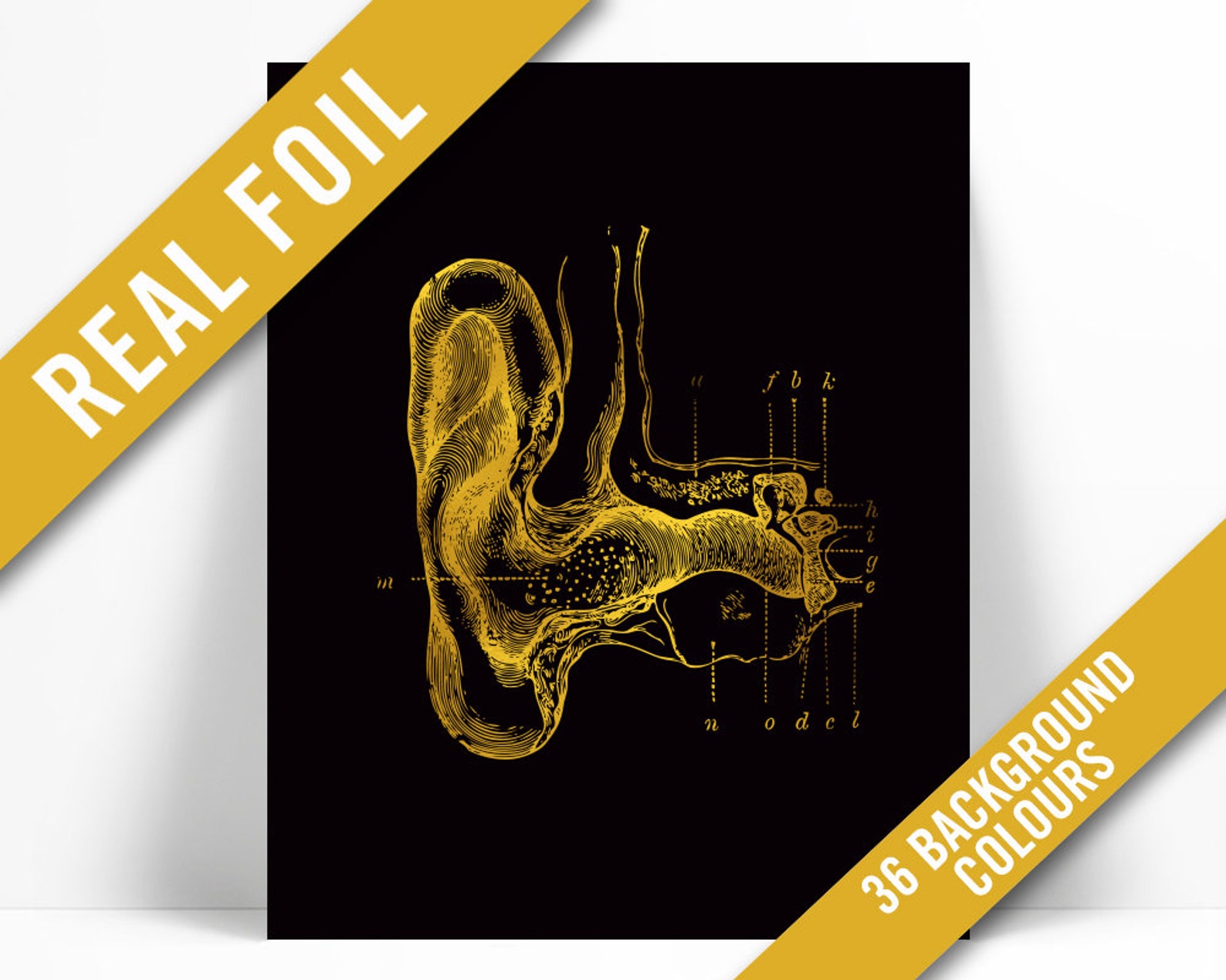 Human Ear Anatomical Gold Foil Art Print Anatomy Wall Art - Etsy